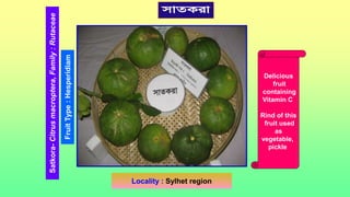 Native fruits of Bangladesh | PPTX