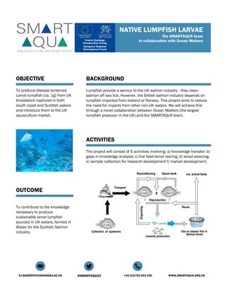SMARTAQUA fact sheet posters | PDF | Fish and Aquariums | Pets