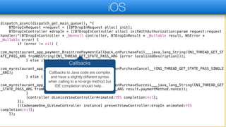 Native Payment - Part 3.pdf