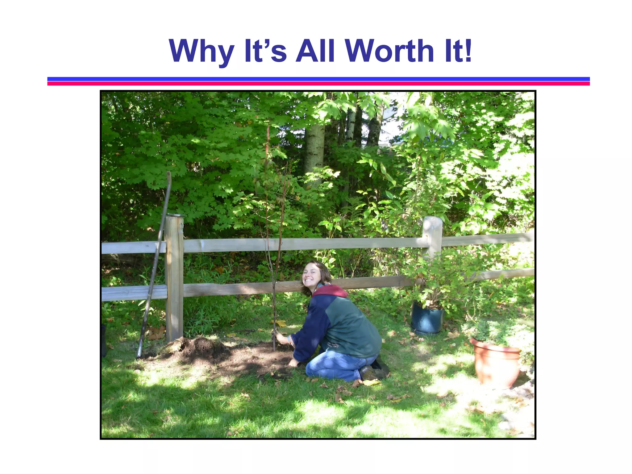Native Plant Potpourri | PPT