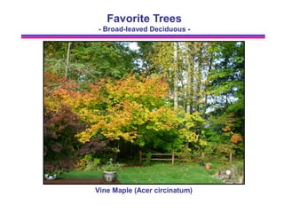 Native Plant Potpourri | PPT