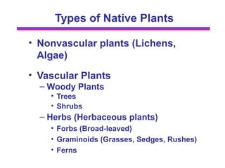 Native Plant Potpourri | PPT