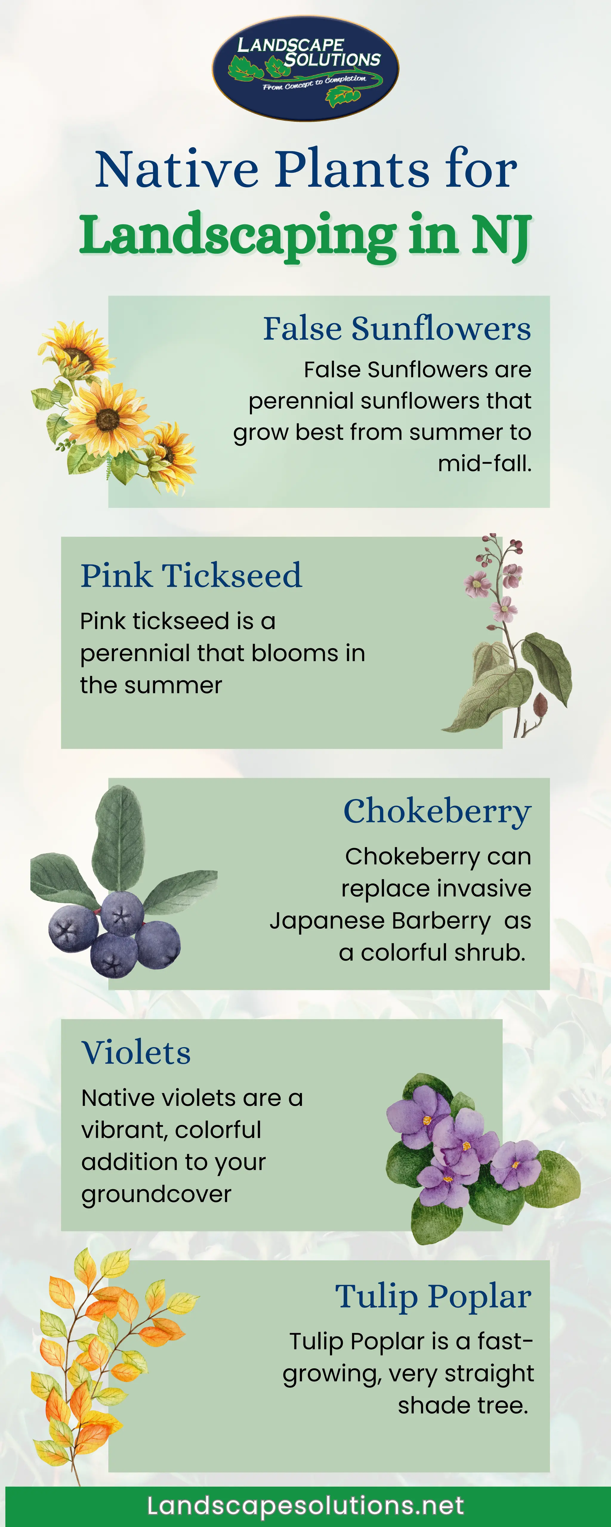 Native plants for landscaping in New Jersey | PDF
