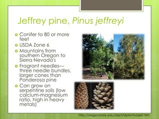 Native plants for southwestern oregon | PPTX