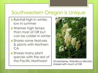 Native plants for southwestern oregon | PPTX | Gardening | Home & Garden