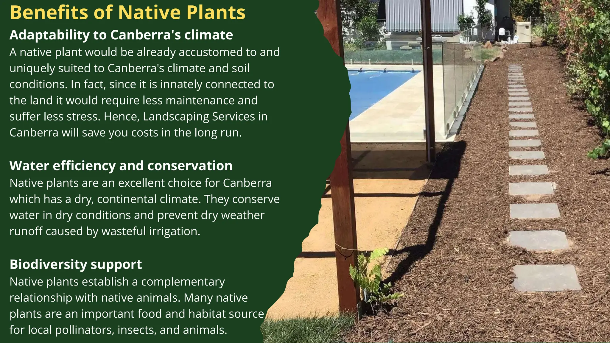 Native Plants in Canberra Landscaping - Sustainable Choices to Go For .pptx