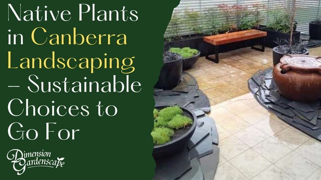 Native Plants in Canberra Landscaping - Sustainable Choices to Go For .pptx