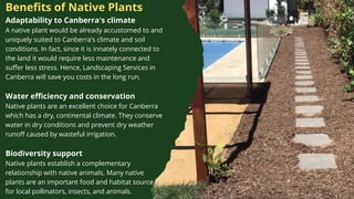 Native Plants in Canberra Landscaping - Sustainable Choices to Go For .pptx
