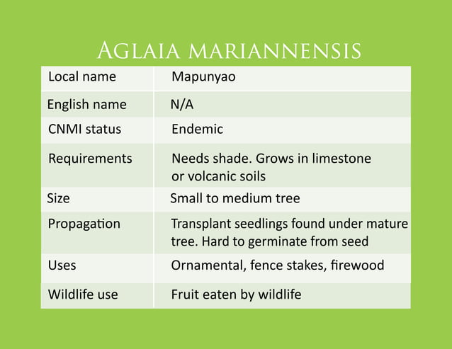 Native plants of the mariana islands | PDF | Birdwatching | Hobbies ...