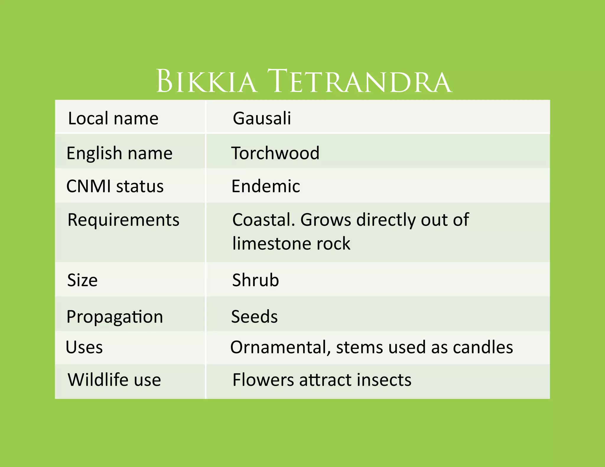 Native plants of the mariana islands | PDF
