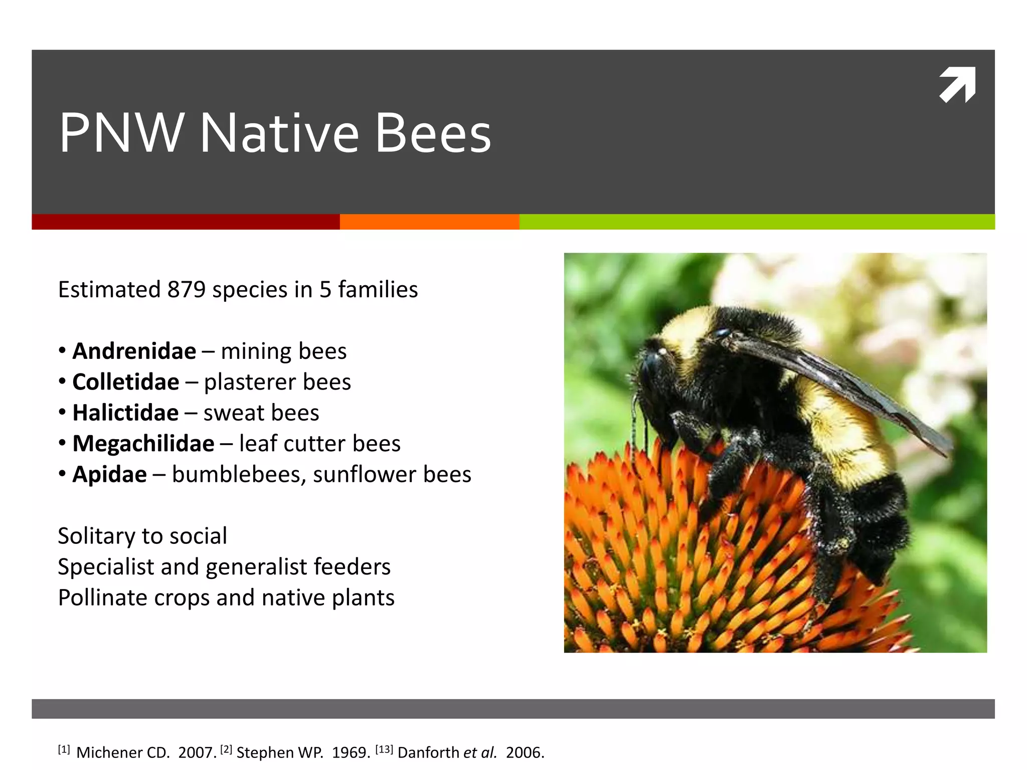 Native pollinators | PPTX