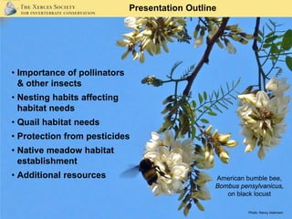 Integrating Native Pollinators into Wildlife Conservation Practices | PDF