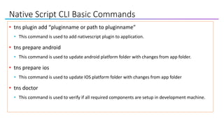 Native script overview | PPTX | Web Design and HTML | Internet
