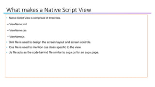 Native script overview | PPTX | Web Design and HTML | Internet