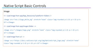 Native script overview | PPTX | Web Design and HTML | Internet