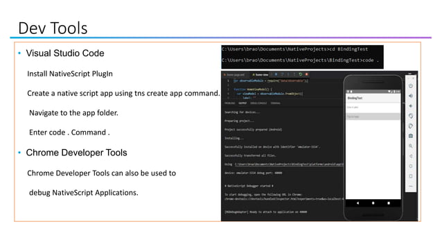 Native script overview | PPTX | Web Design and HTML | Internet