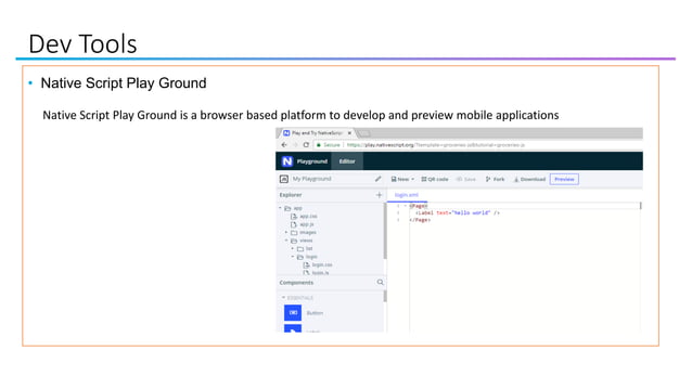 Native script overview | PPTX | Web Design and HTML | Internet