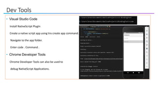 Native Script Overview | PPTX