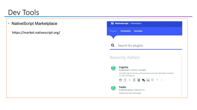 Native Script Overview | PPTX | Web Design and HTML | Internet