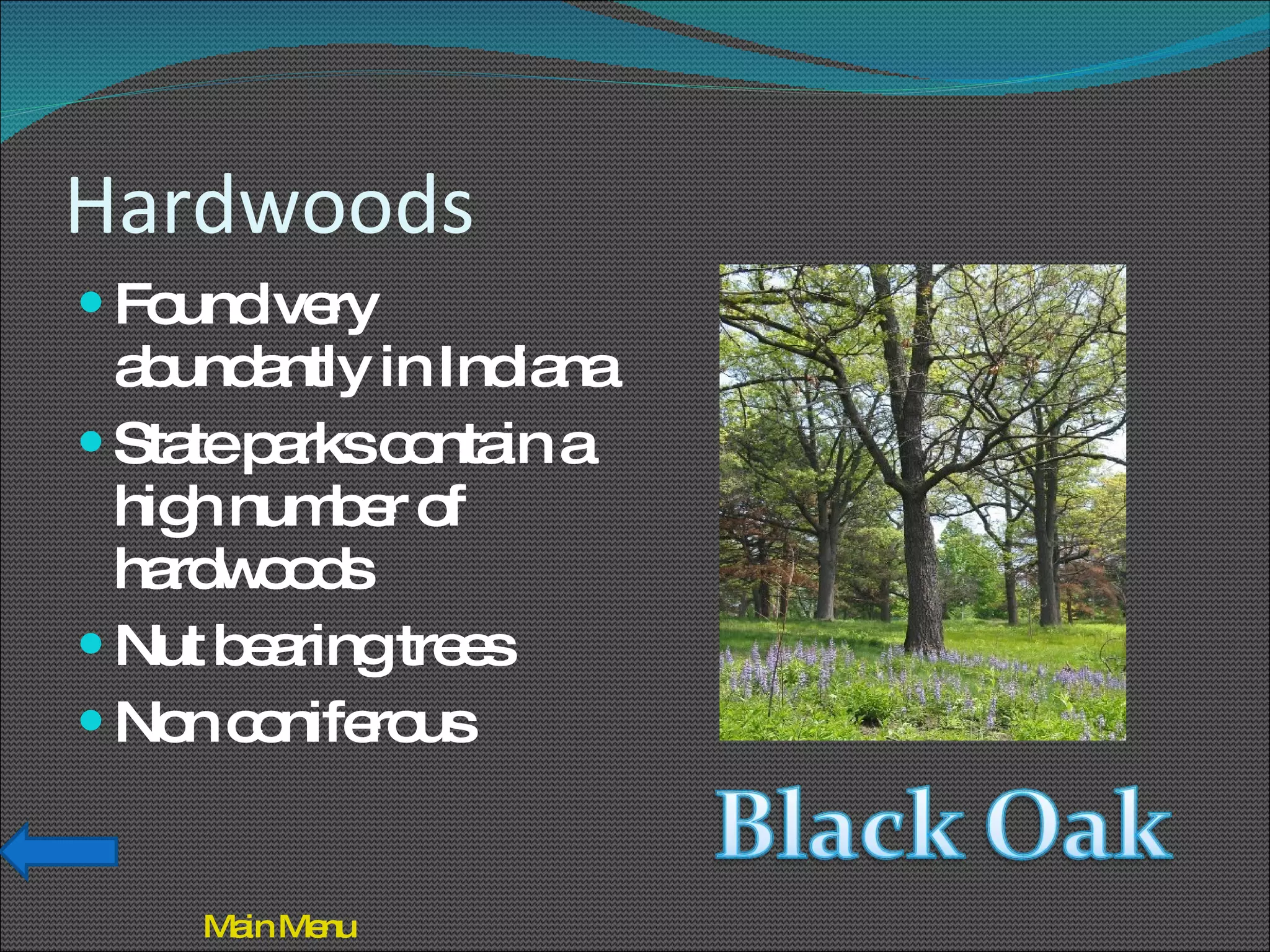Native Trees In Indiana | PPT