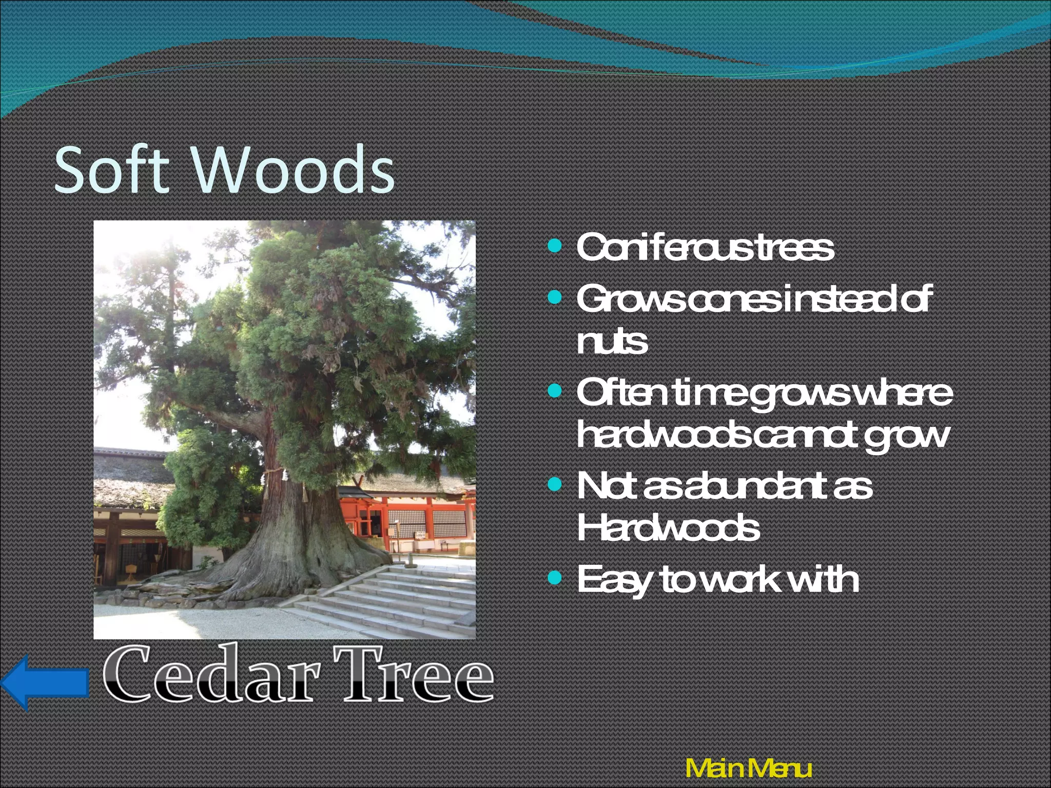 Native Trees In Indiana | PPT