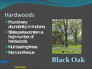 Native Trees In Indiana | PPT