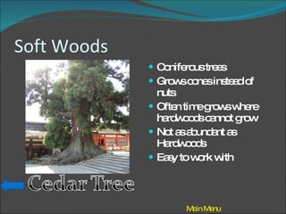 Native Trees In Indiana | PPT
