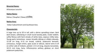 NATIVE TREES OF CARBON SEQUESTRATION POTENTIALITY FOR BANGLADESH | PPT