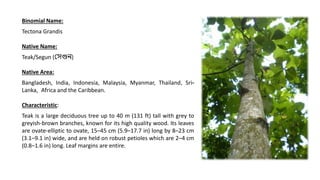 NATIVE TREES OF CARBON SEQUESTRATION POTENTIALITY FOR BANGLADESH | PPT