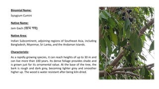 NATIVE TREES OF CARBON SEQUESTRATION POTENTIALITY FOR BANGLADESH | PPT