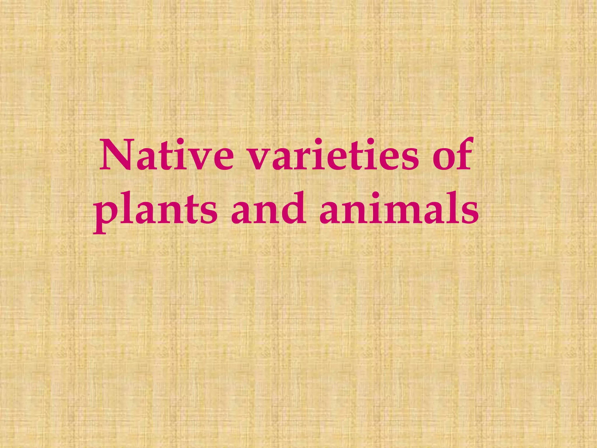 Native varieties of plants and animals (ict enabled) | PPTX