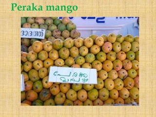 Native varieties of plants and animals (ict enabled) | PPTX