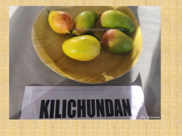 Native varieties of plants and animals (ict enabled) | PPTX