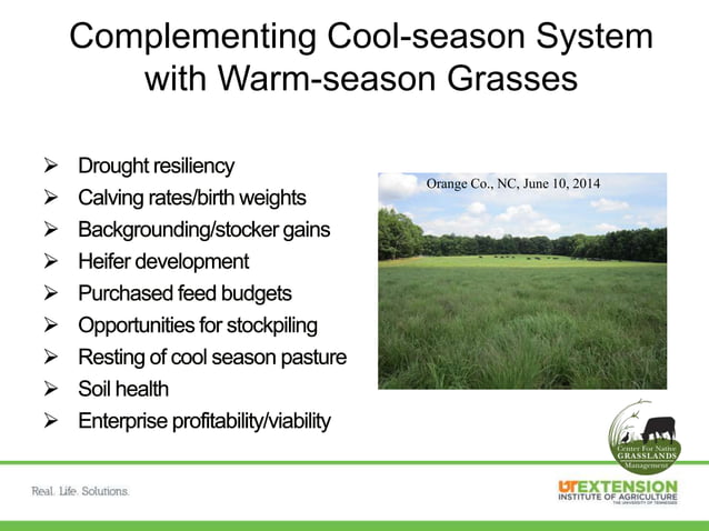 Native warm season grasses for adapting to climate change | PPT