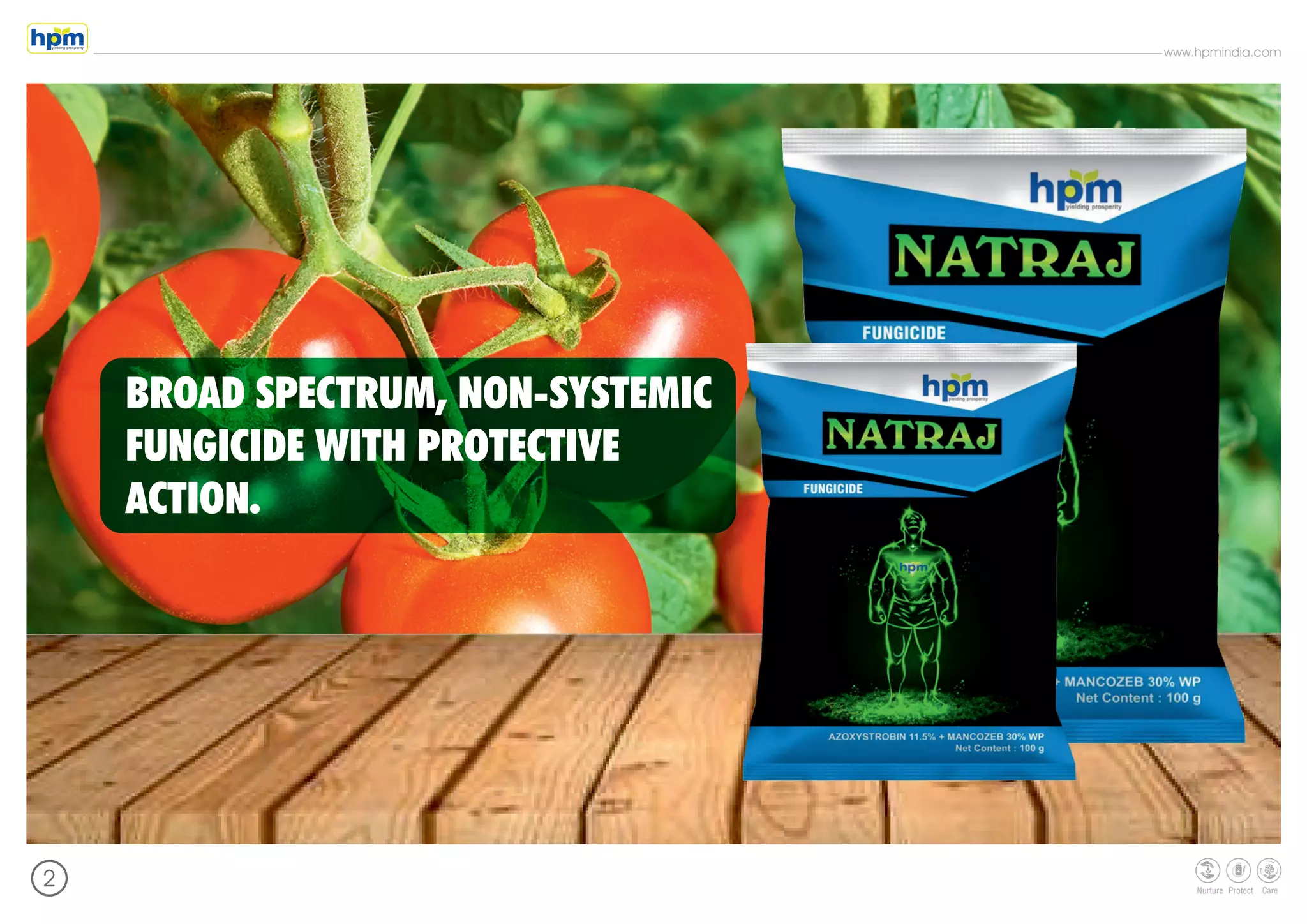 Natraj presentation | PDF | Agriculture | Industries