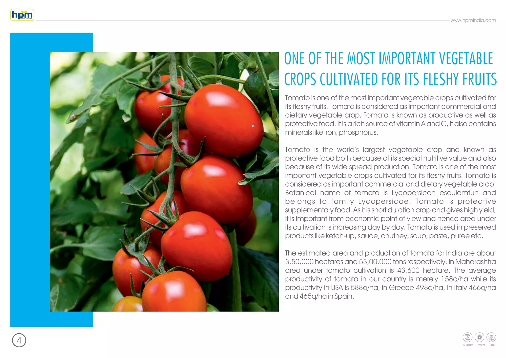 Natraj presentation | PDF | Agriculture | Industries