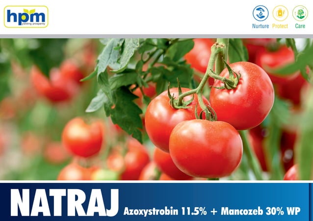Natraj presentation | PDF | Agriculture | Industries