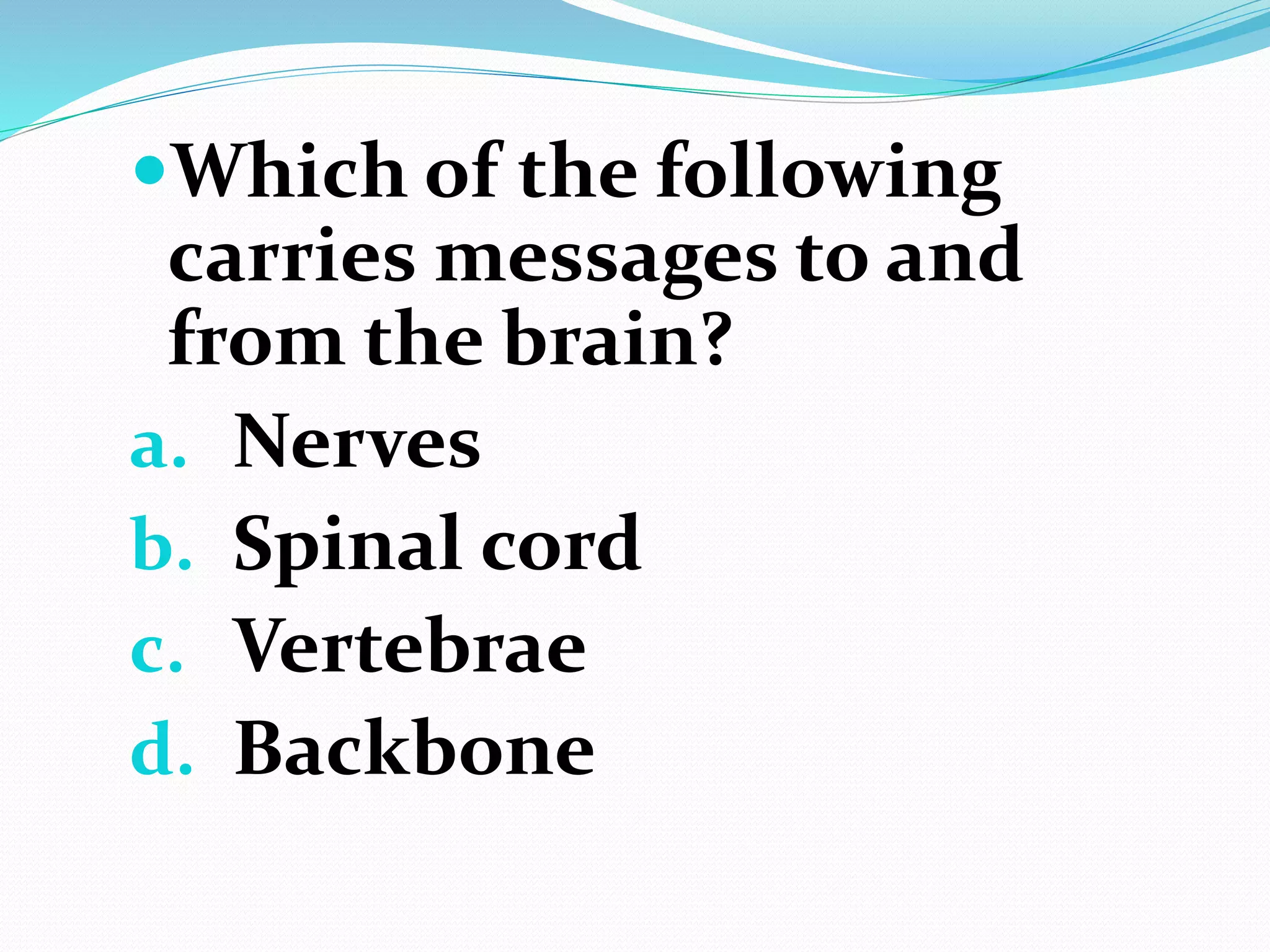 SCIENCE reviewer for Grade 6 | PPTX