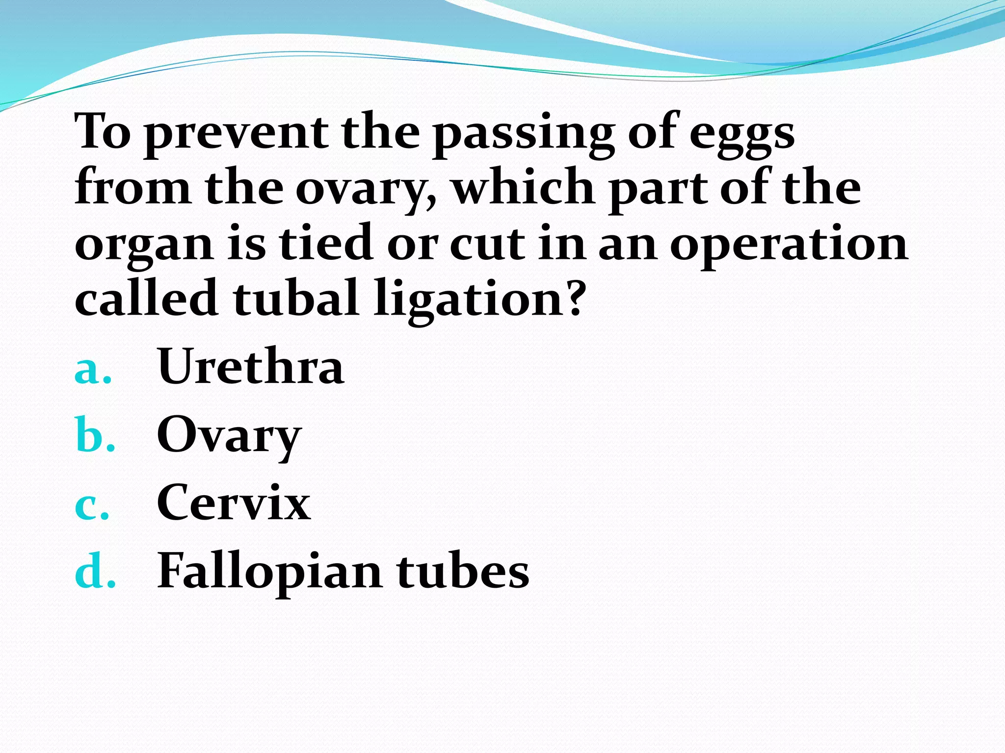 SCIENCE reviewer for Grade 6 | PPTX
