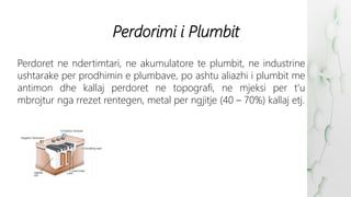 Natriumi Kimi | PPTX