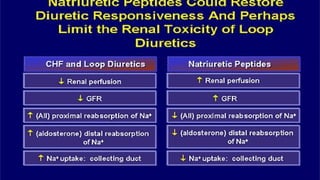 Natriuretic Peptide Family | PDF