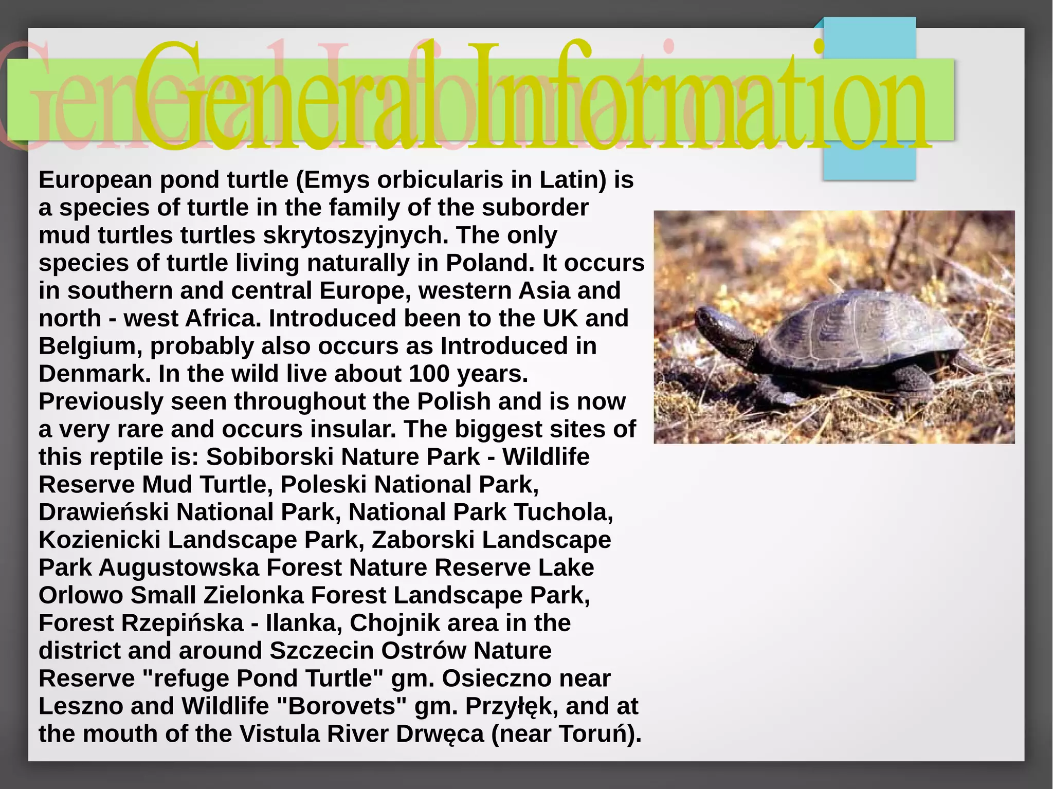 Natrix natrix i emys orbicularis en | PPT
