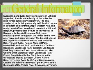 Natrix natrix i emys orbicularis en | ODP