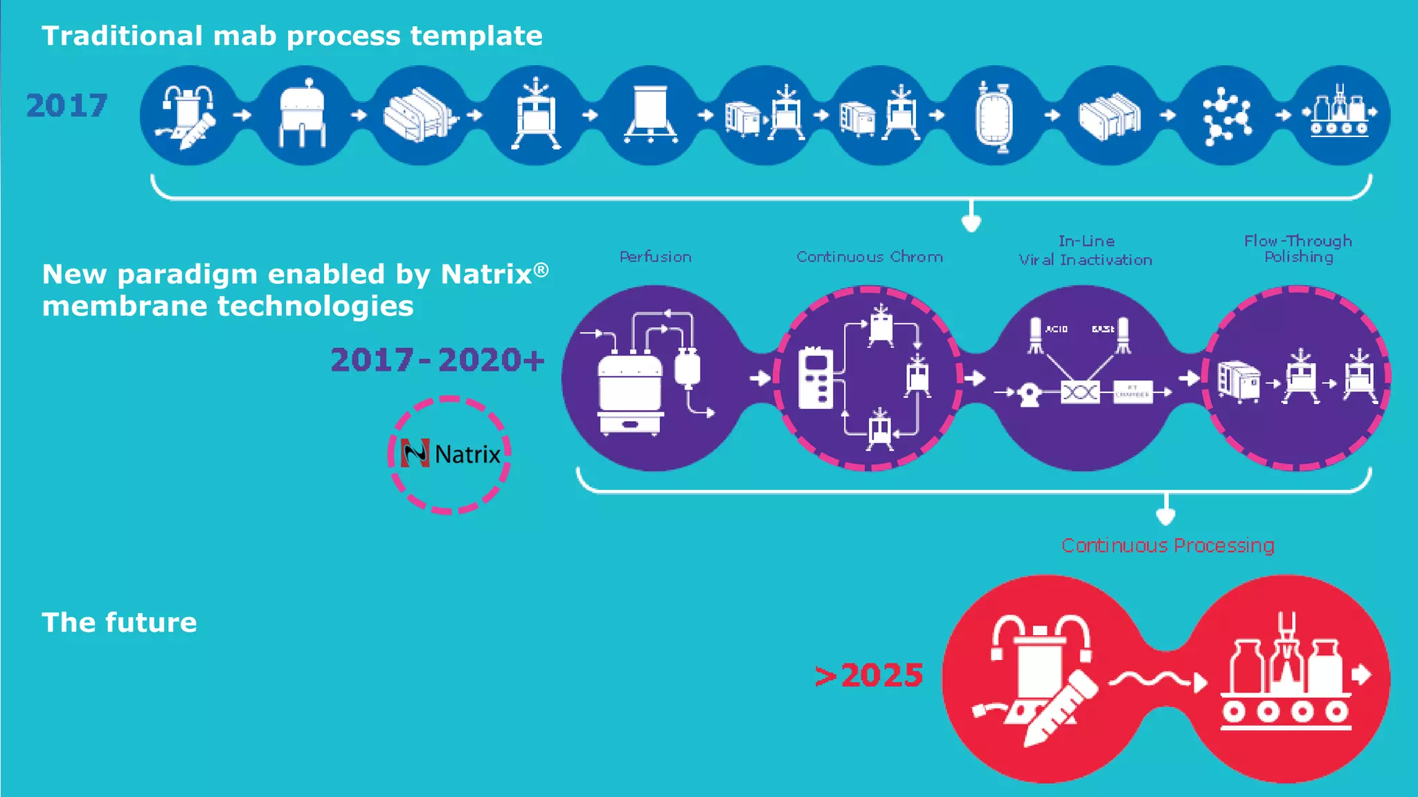 High Productivity Membrane Chromatography: Enabling the Next Generation ...
