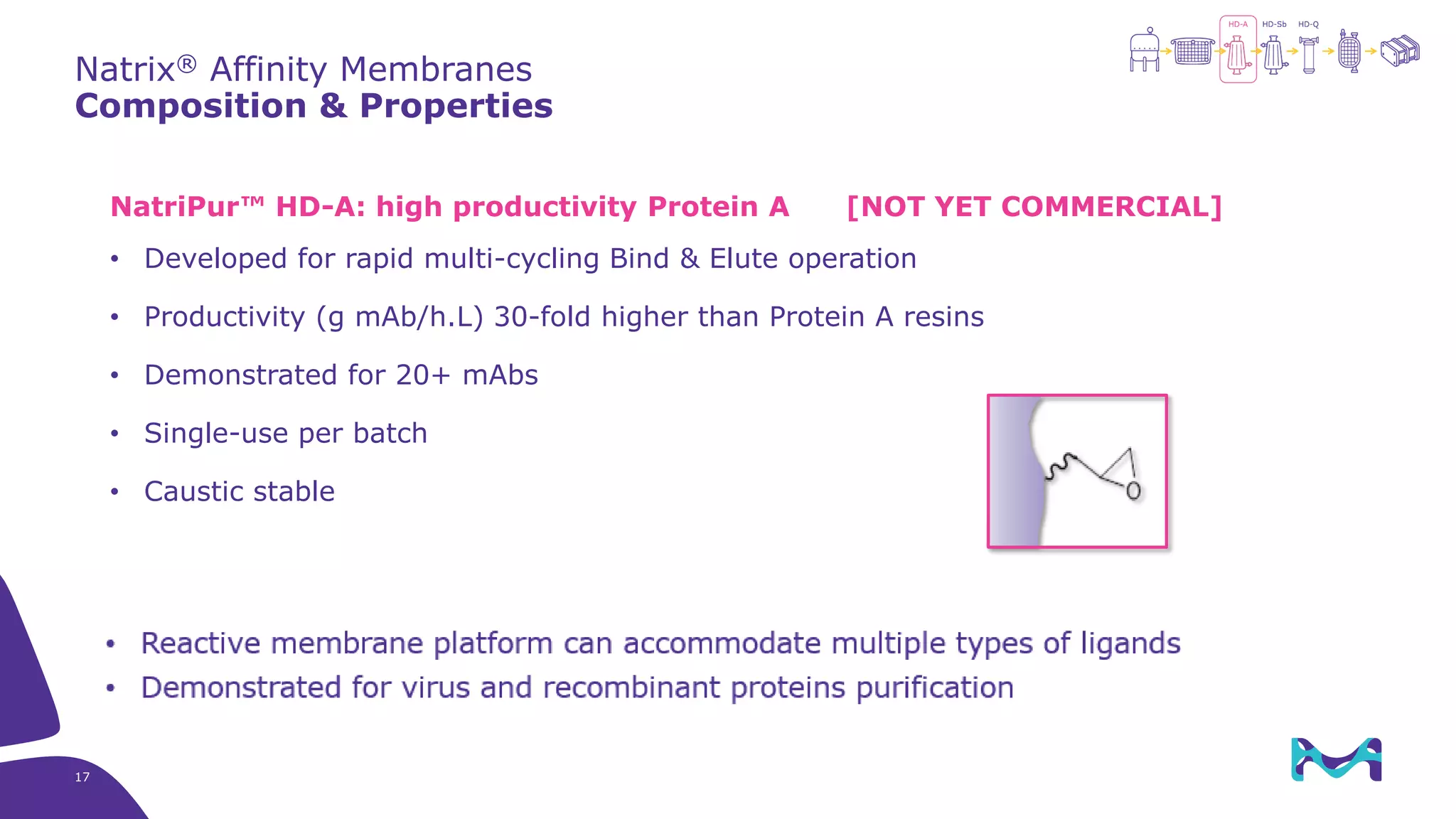 High Productivity Membrane Chromatography: Enabling the Next Generation ...