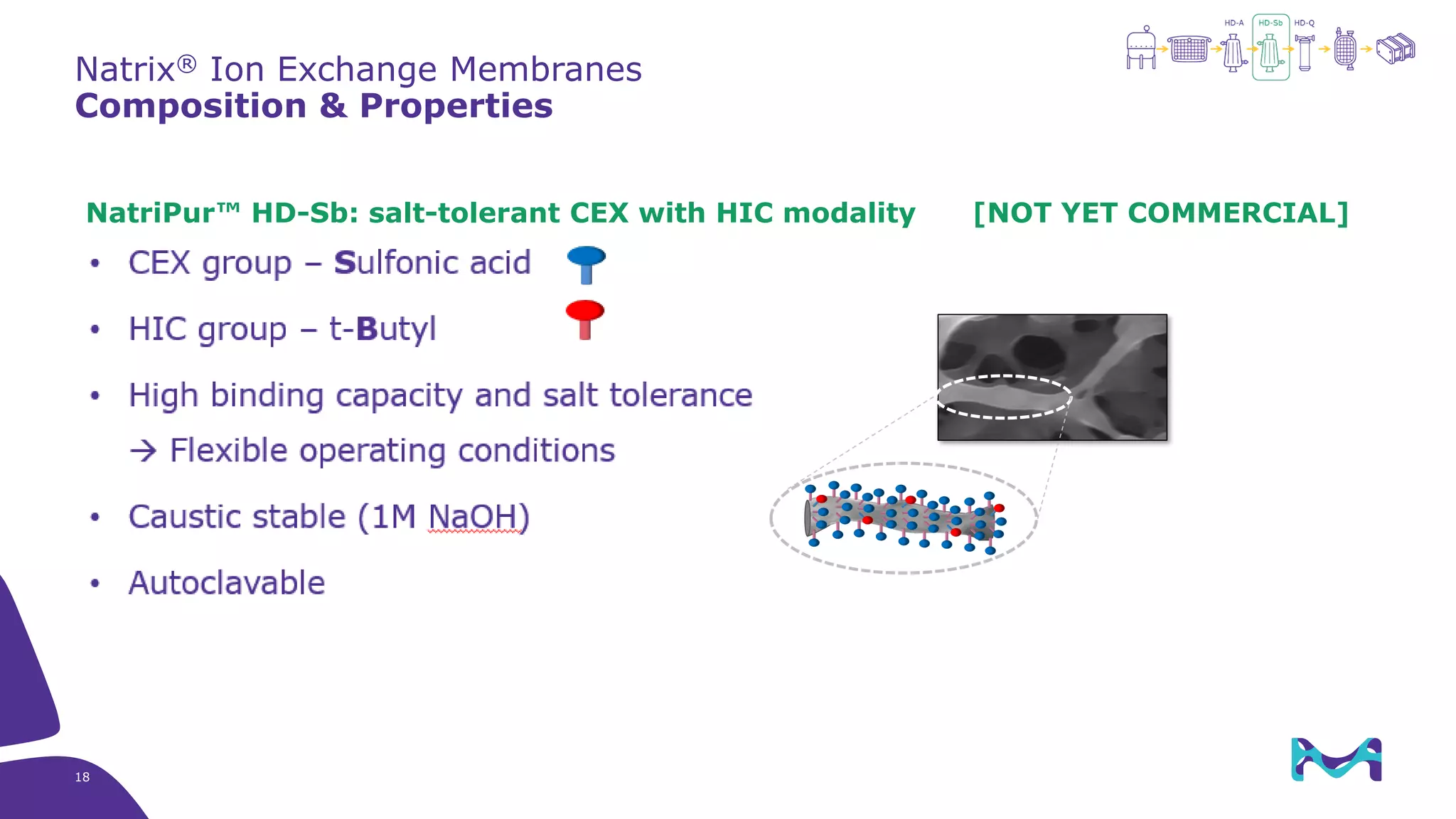 High Productivity Membrane Chromatography: Enabling the Next Generation ...