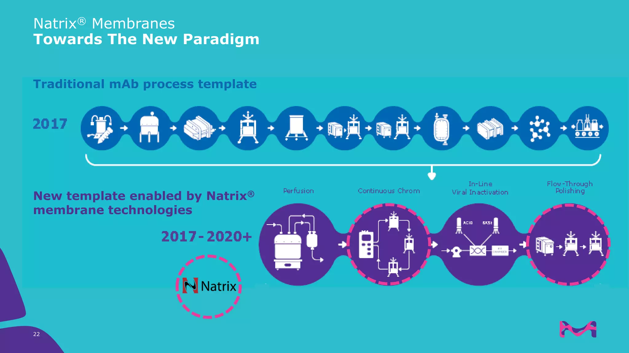High Productivity Membrane Chromatography: Enabling the Next Generation ...