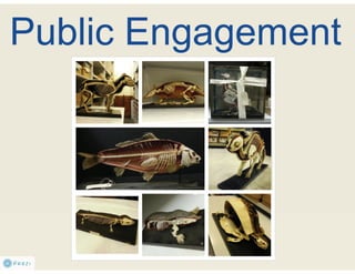 Bioblitz Project Update | PPT