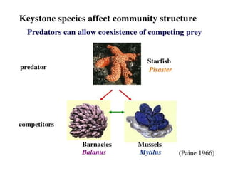 factors influencing the structure of communities | PPTX