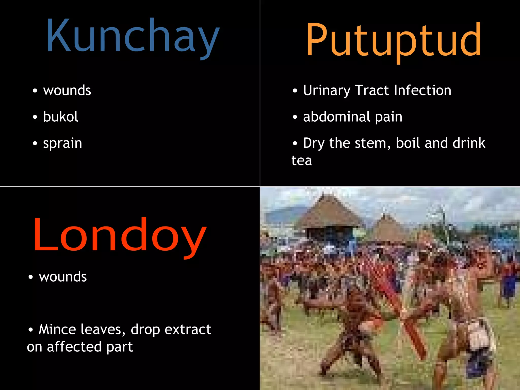 Bugkalot Tribe | PPT